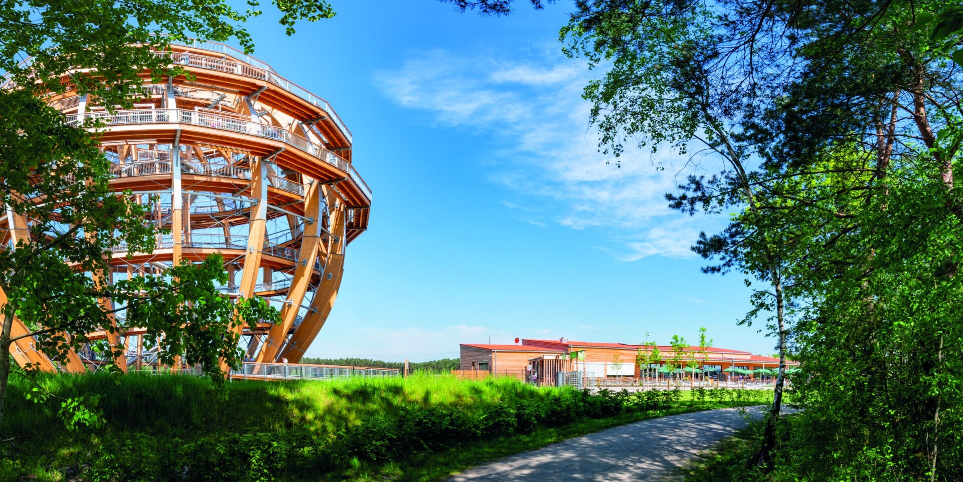 One to One — Wooden Sphere